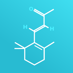 Ionona Beta – interlink
