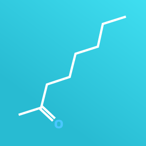 Metil Hexil Cetona – interlink